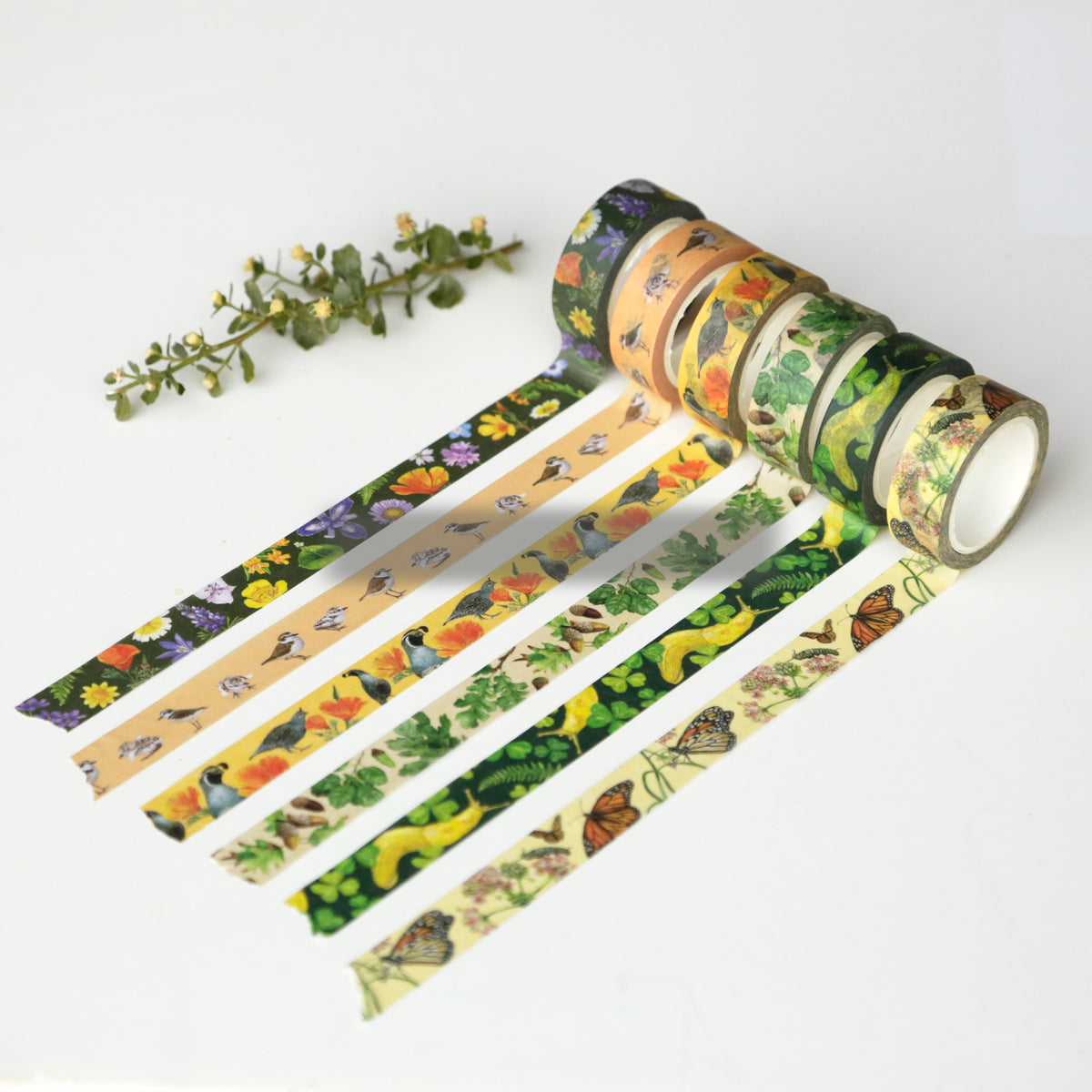 Washi Tape – Coyote Brush Studios
