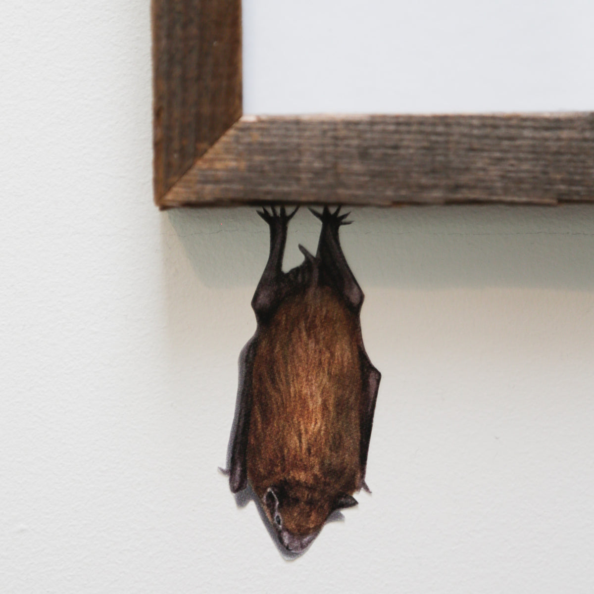 Big Brown Bat Wall Decal – Coyote Brush Studios