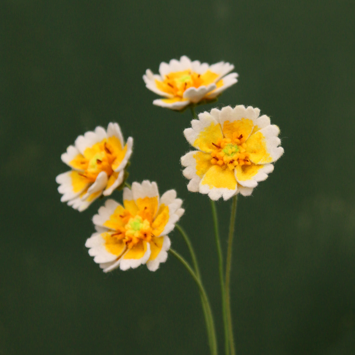 Tidy Tips Felt Flower - Layia platyglossa - fiber sculpture, fabric fl ...