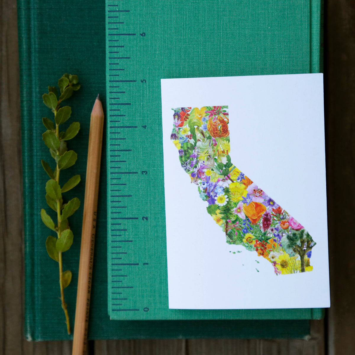 California Flora Card - greeting card, native plant card – Coyote Brush ...