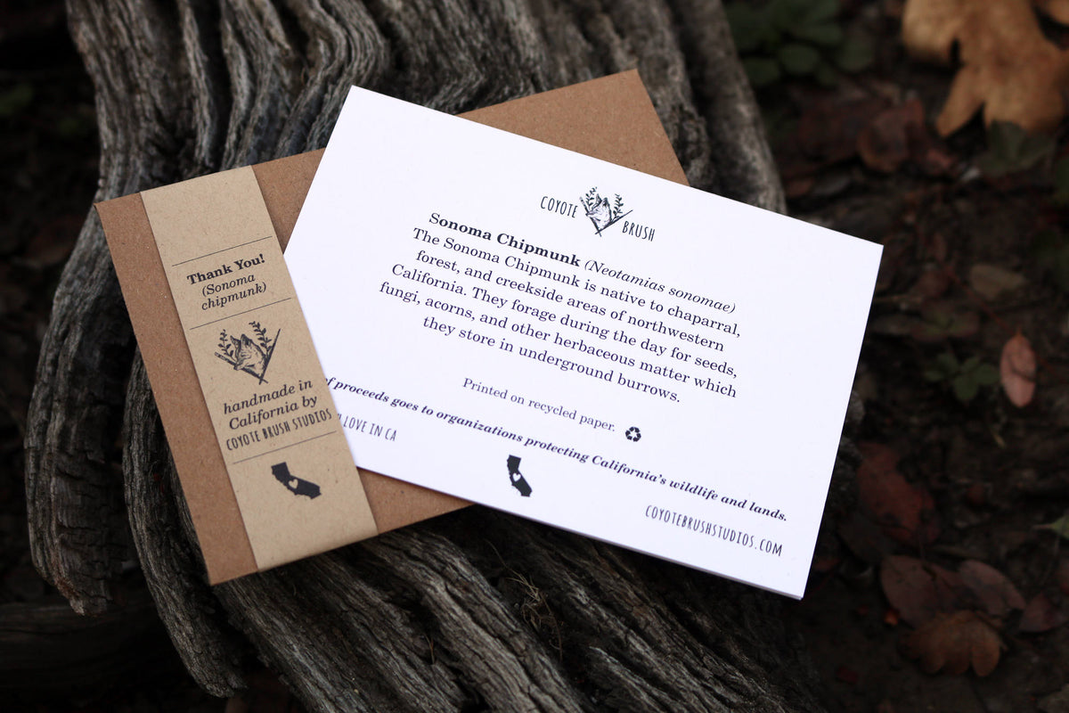Thank You Chipmunk Card – Coyote Brush Studios