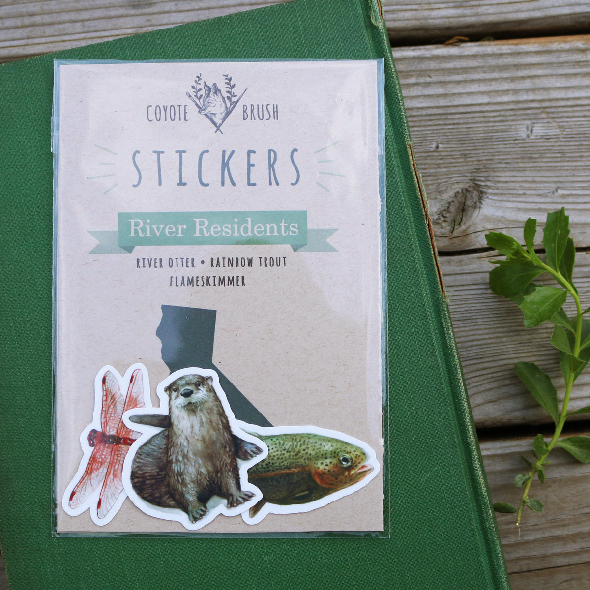 River Residents Stickers: Three Vinyl Stickers - River Otter, Rainbow ...