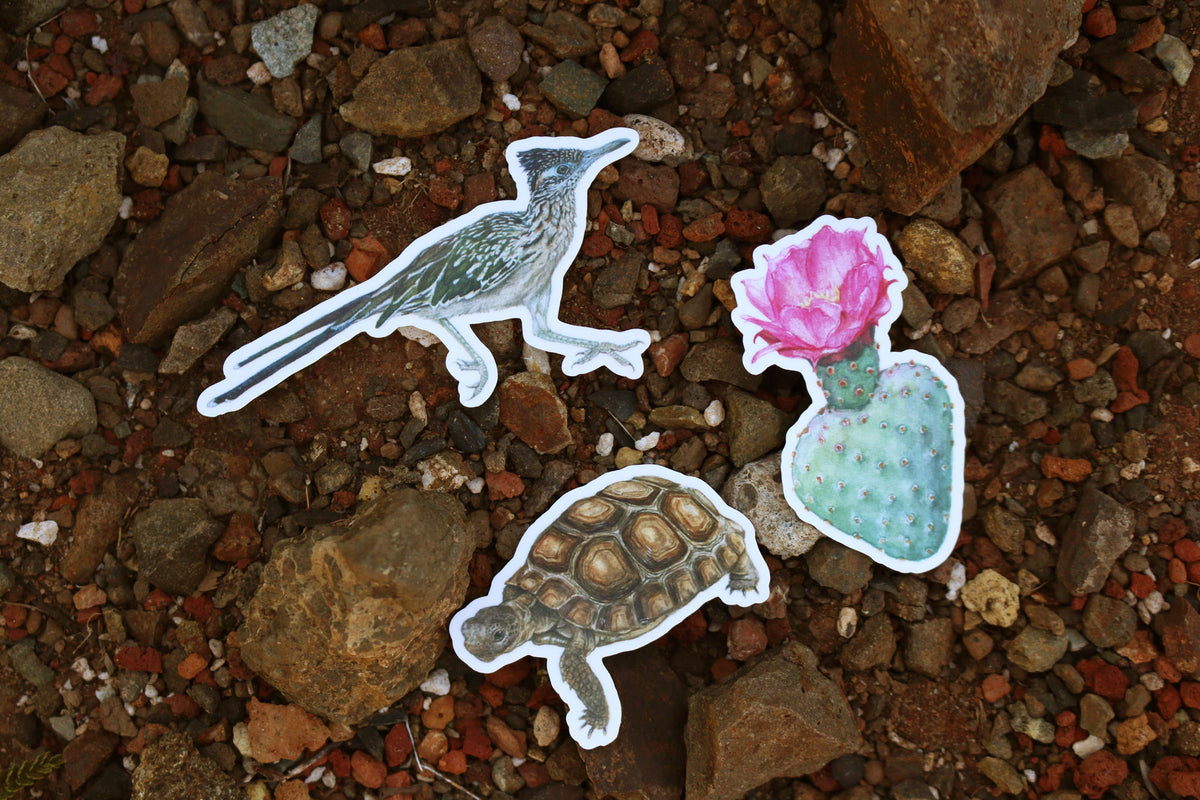 Deserts of California: Three Vinyl Stickers, Greater Roadrunner, Deser ...