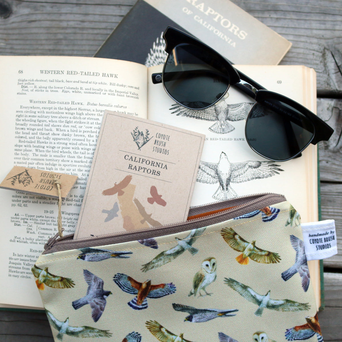 California Raptors Zipper Pouch Medium, Storage Bag, Flat Purse, Birds ...